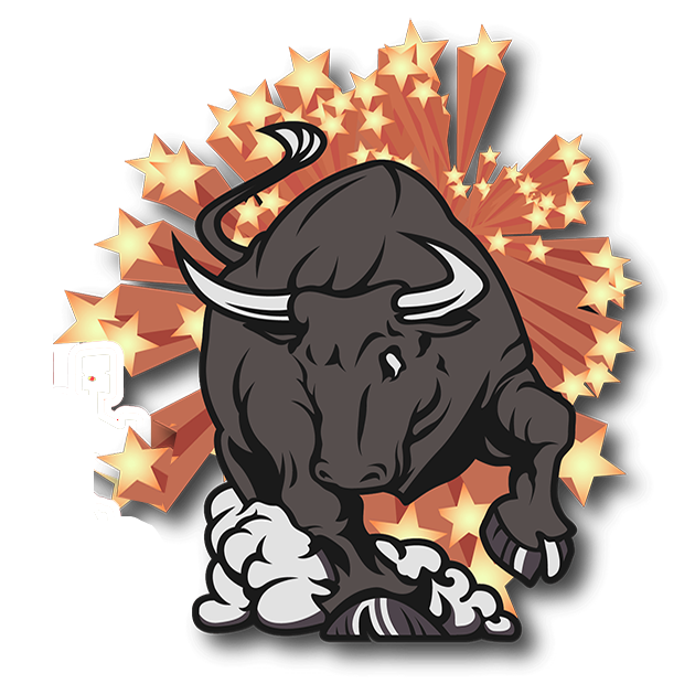 Black Bull Fireworks Store | Buy Fireworks in Michigan City, Indiana