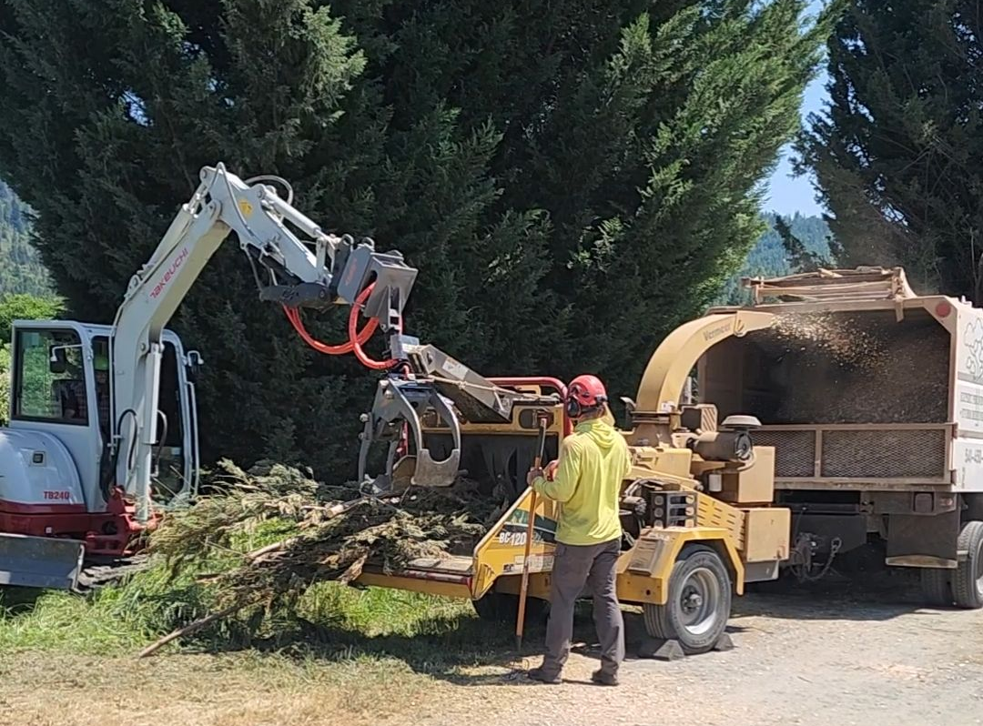 Tree Pruning in Grants Pass, OR | Siskiyou Tree Experts