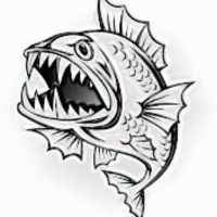 Book Your Fishing Charter | Badfish Charters