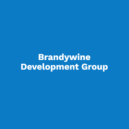 Contact Us | Brandywine Development Group | Atlanta, GA