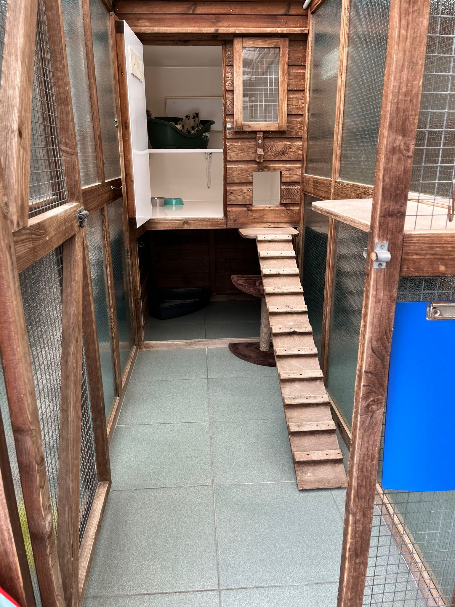 The Cottage Cattery Luxury Cattery in Newtownards