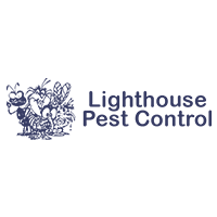 Lighthouse Pest Control | Pest Control in Byron Bay