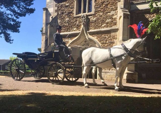 One Horse Open Carriage New Horse Carriages | Midwest Custom Carriages
