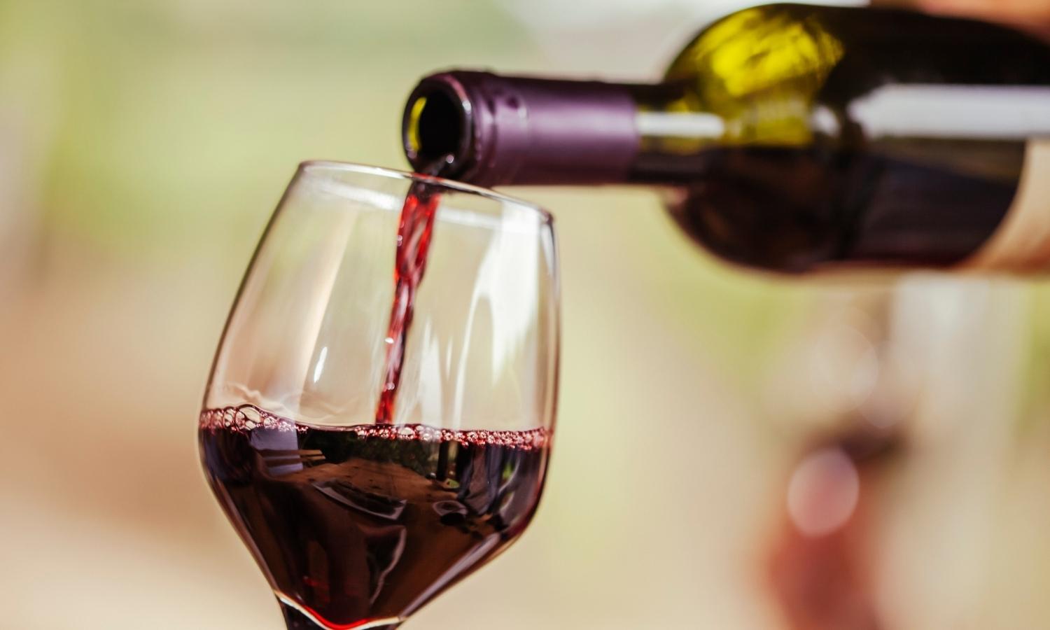 A Quick Guide to Wines | Mac’s Raw Bar