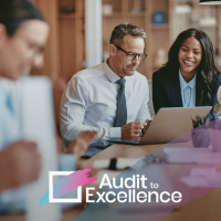 Audit to Excellence - Audit Improvement - Painting the Whole Picture