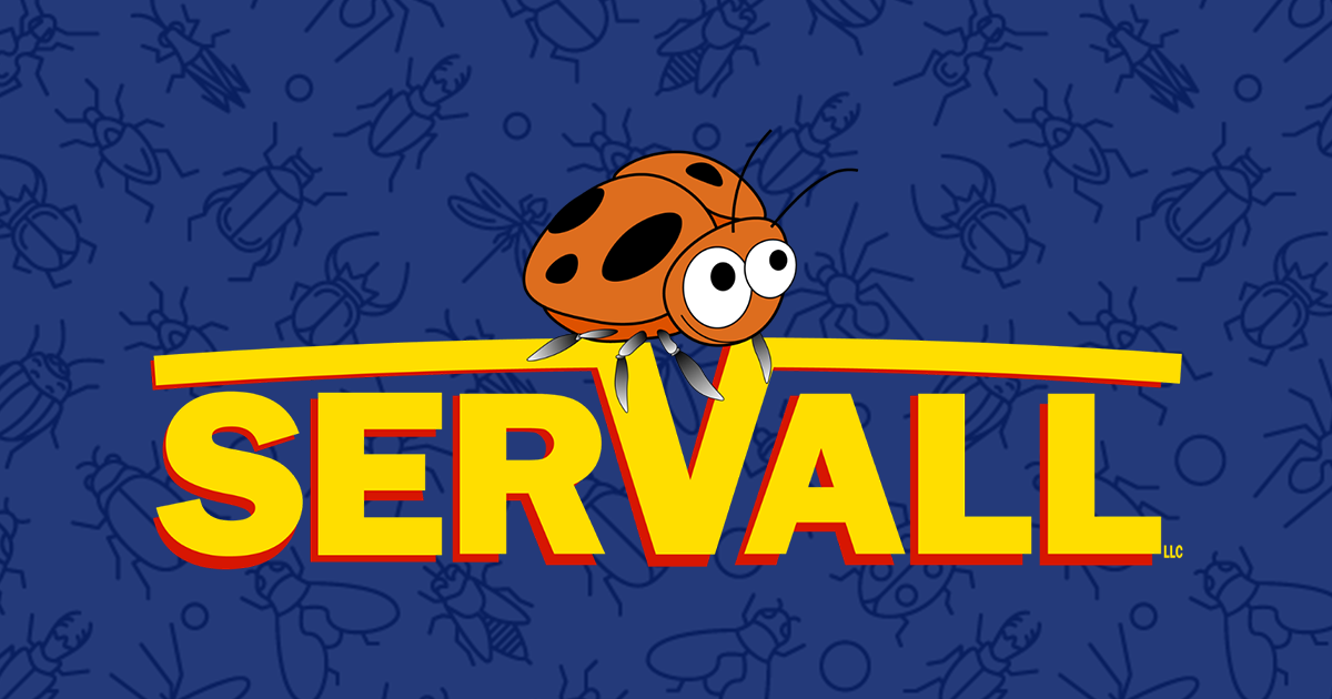 Martin, TN | Servall Termite & Pest Control