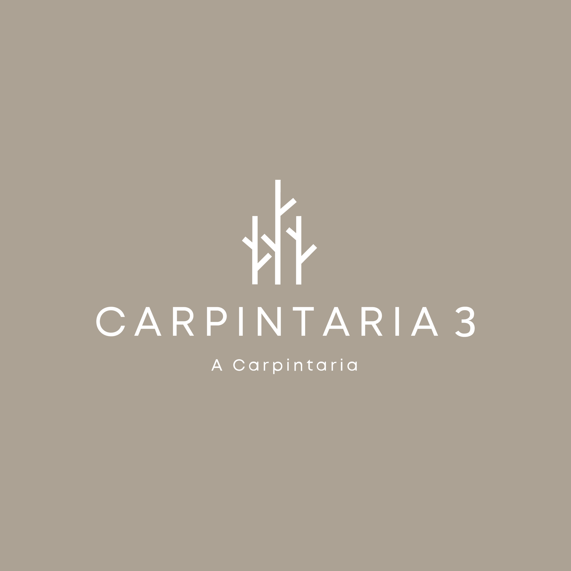 Carpintaria 3