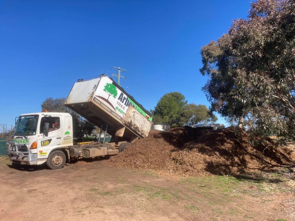 Arbortec Tree Service | Tree Services Dubbo