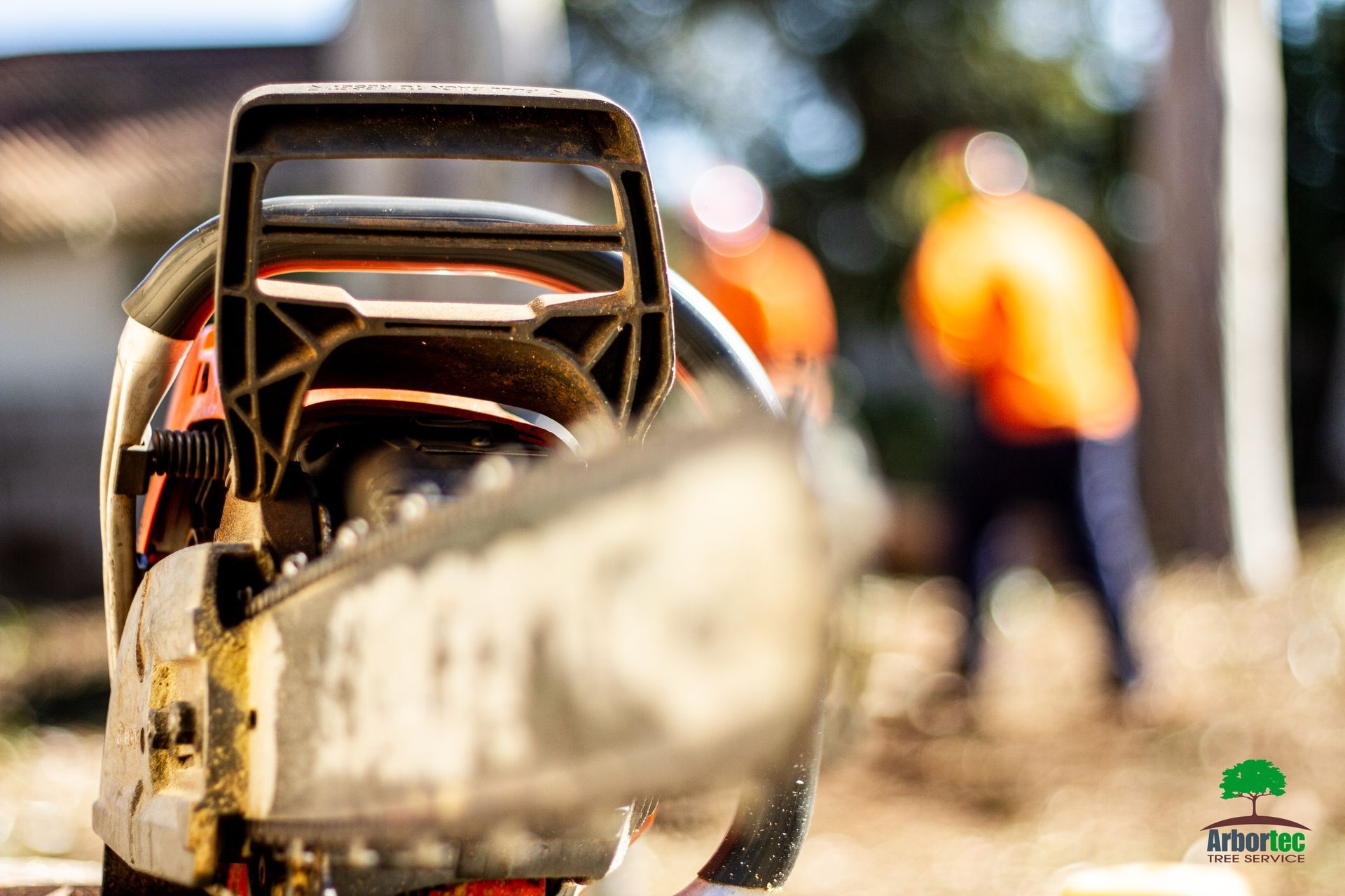 Arbortec Tree Service | Tree Services Dubbo