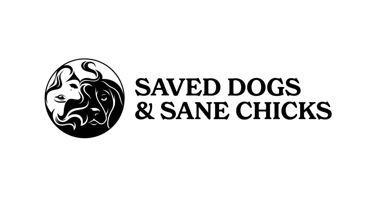 Dog Rescue | Saved Dogs & Sane Chicks