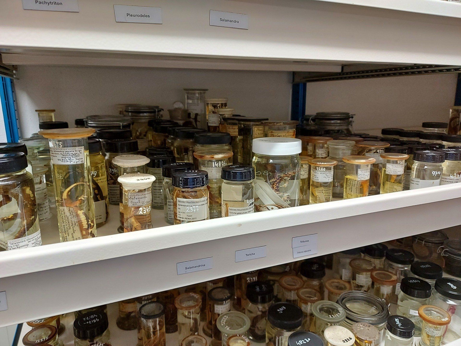 Natuurlab module klaar voor gebruik!