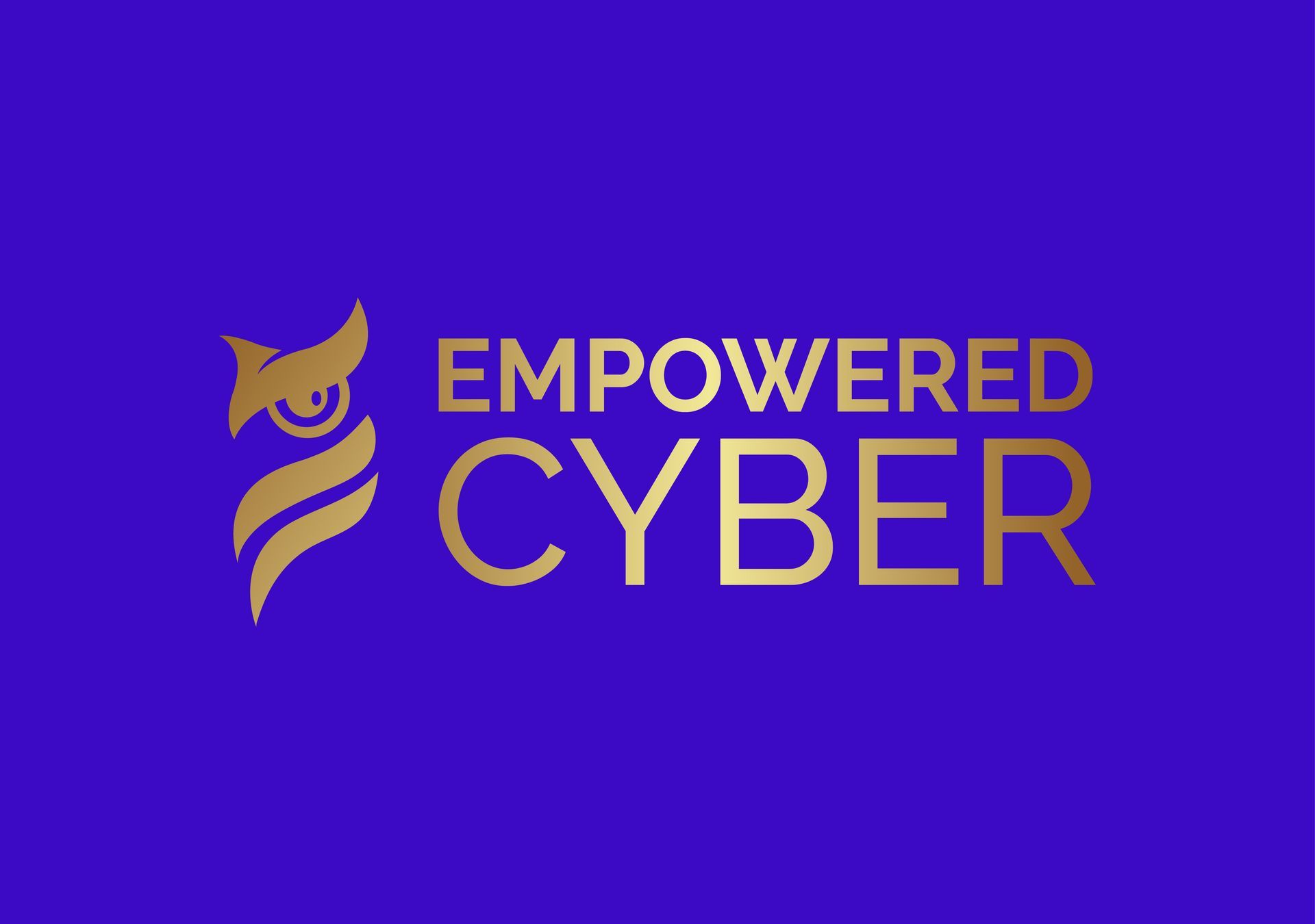 Empowered Cyber-Cyber Virtual Executive (CISO) services