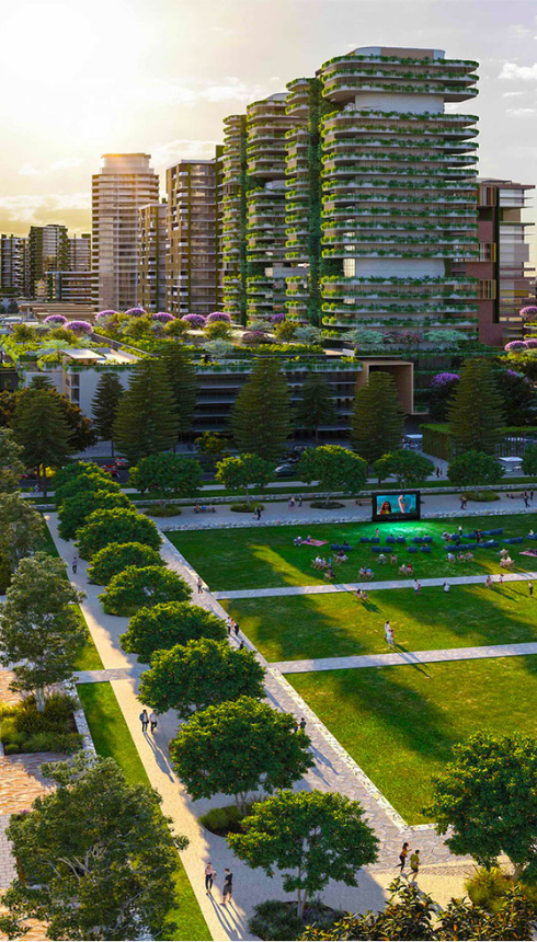 Davidson | Economic Development Qld Board Appointments