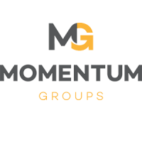 Flexible Corporate Fleet Management with Momentum Groups