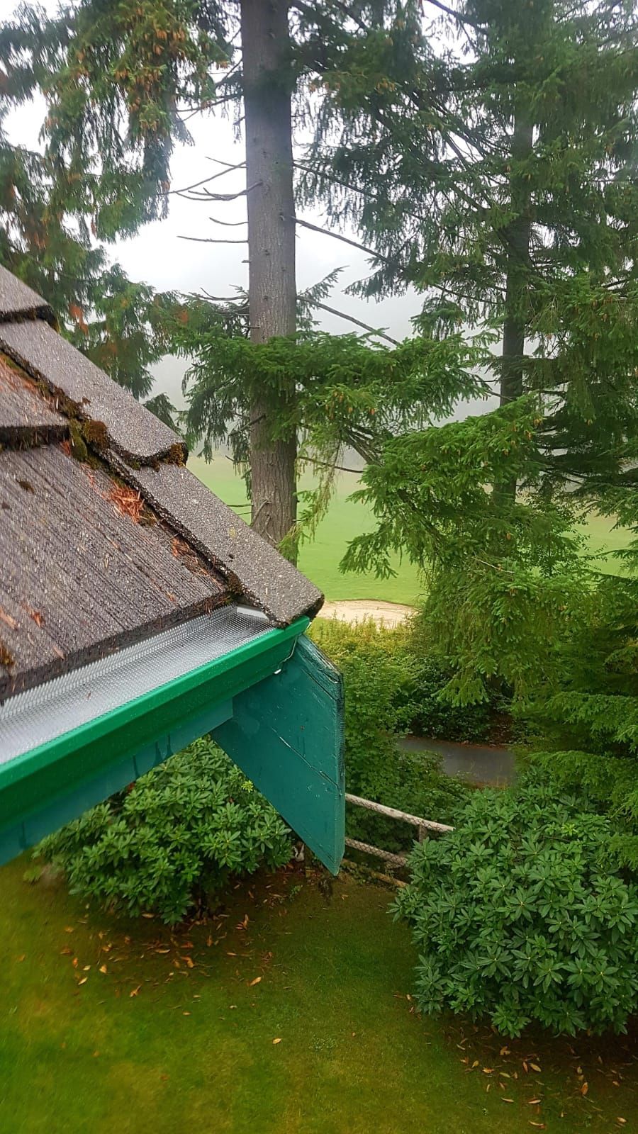 Leaf Screen and Leaf Catchers | Surrey, BC | Precision Gutters