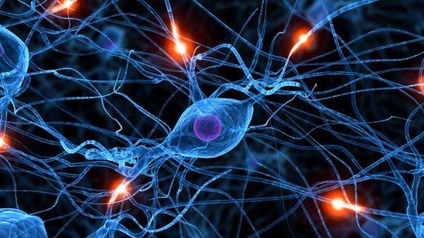 Boost Brain Function