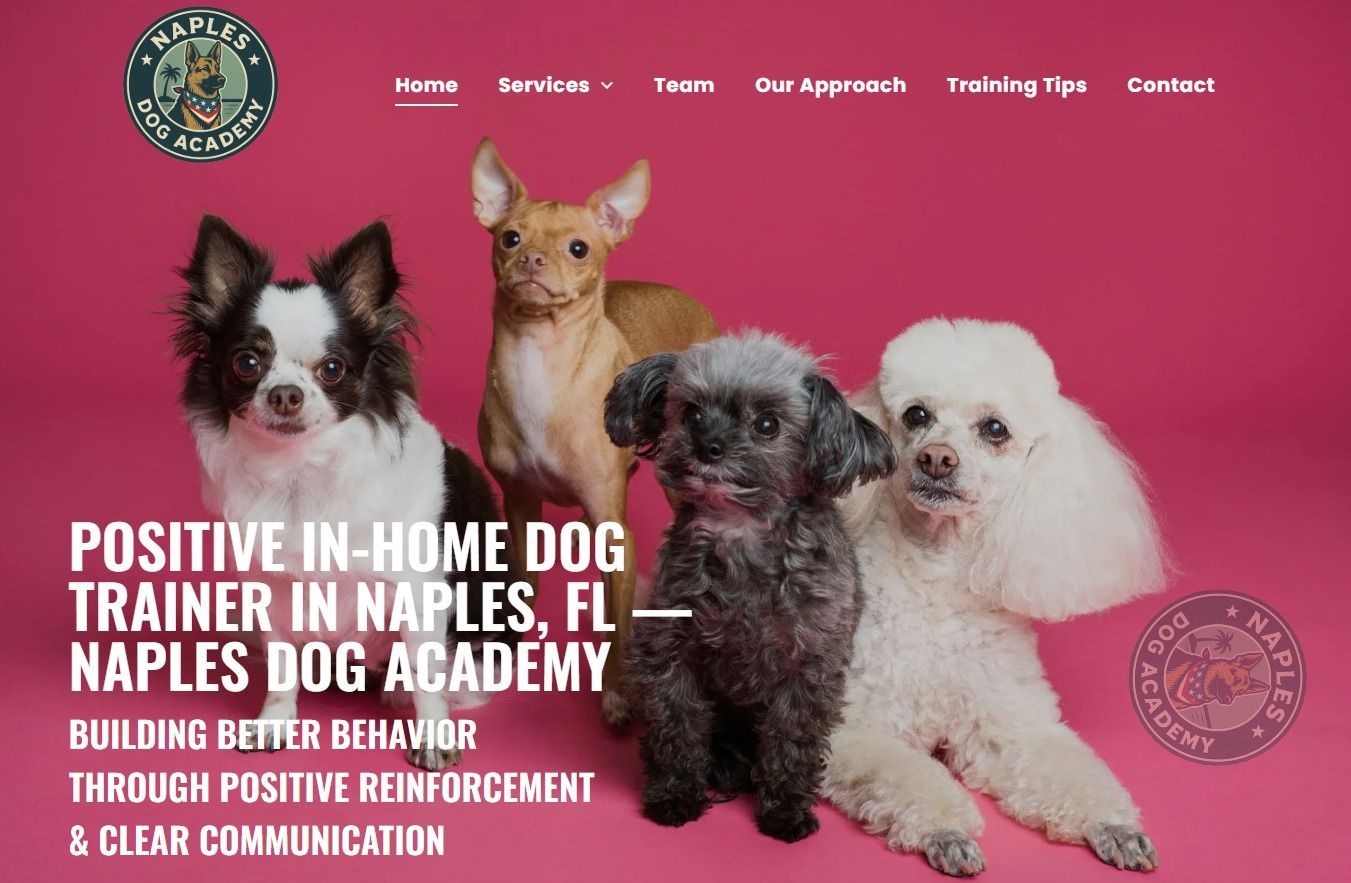 Dog Training Tips | Naples Dog Academy | Naples, FL