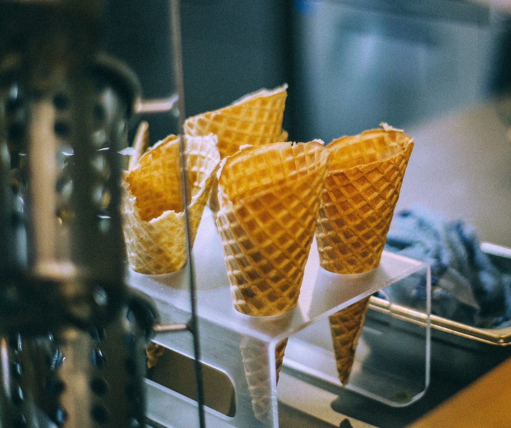 Transitional Foods – do they really matter?