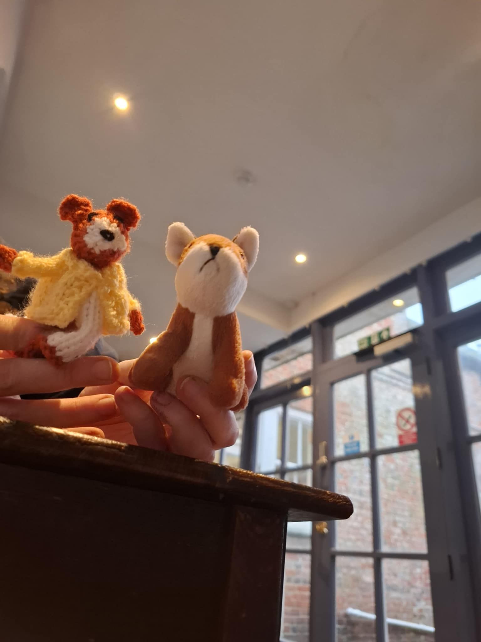 Day 29 - "We can see clearly now the mould has gone" (or when Foxie's crew were very busy!)