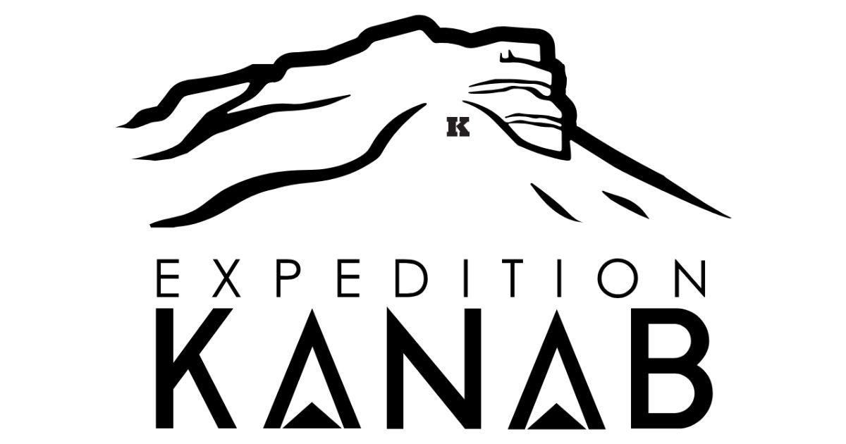 Peekaboo Slot Canyon UTV Tour + White Wave in Kanab