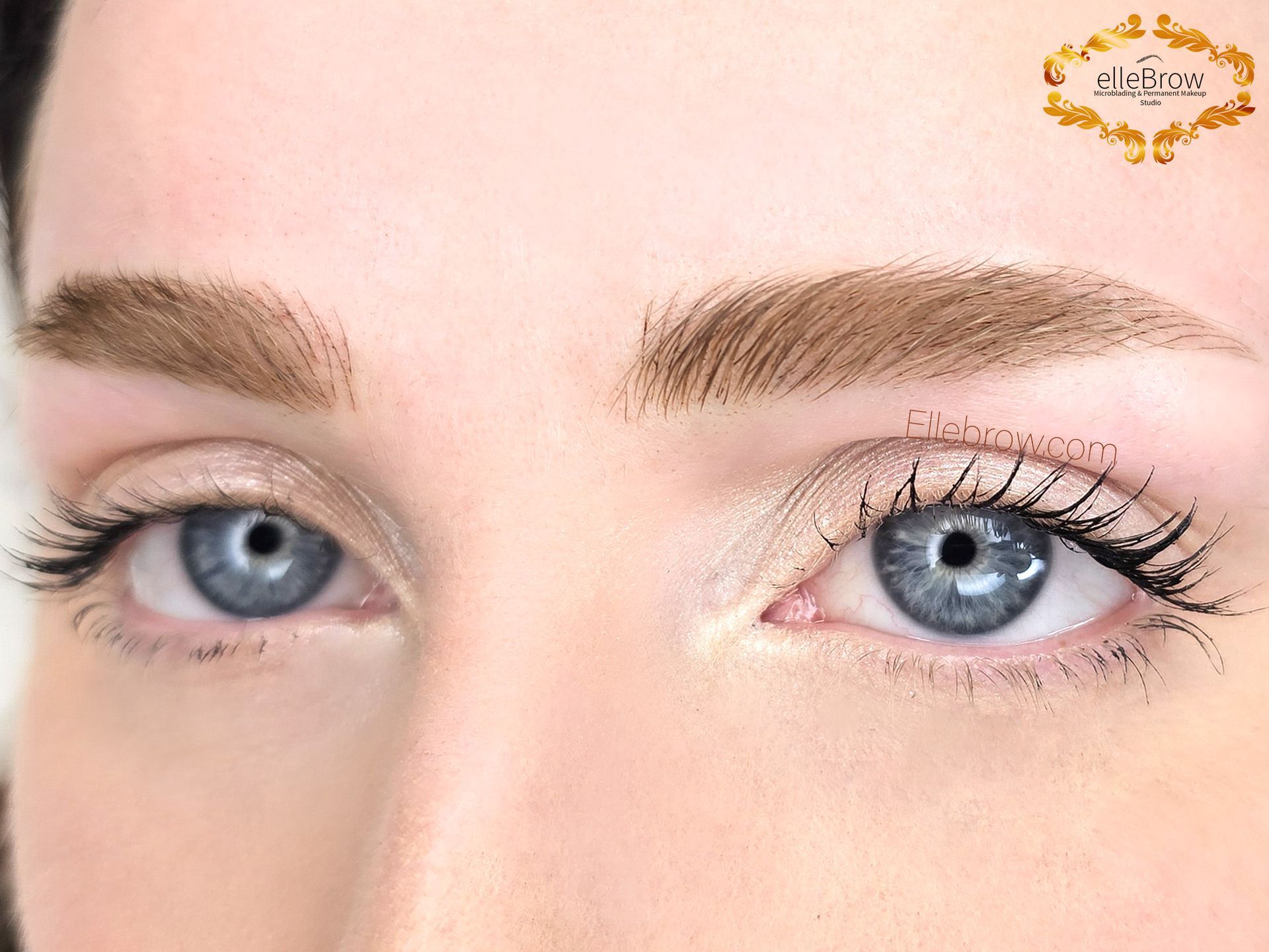 Microblading NYC | Top Eyebrow Permanent Makeup New York | Brow Specialists