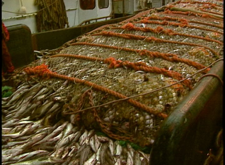 Alaska Fishing Industry | Alaska Fishermen's Museum