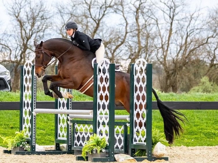 Equestrian Insurance | Paoli, PA | Hare Chase & Heckman