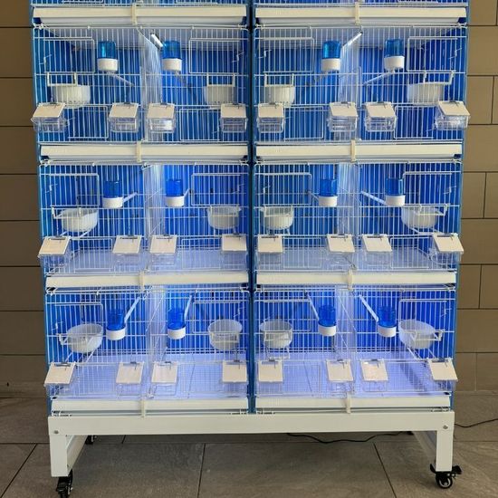 Home [www.mlfcages.co.uk]