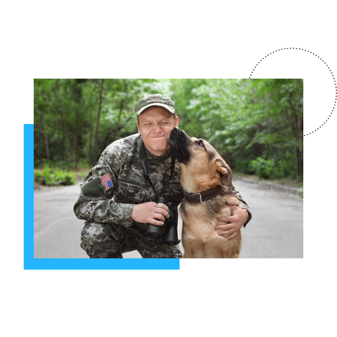 Pet Transport & Relocation | Continental Pet Relocation