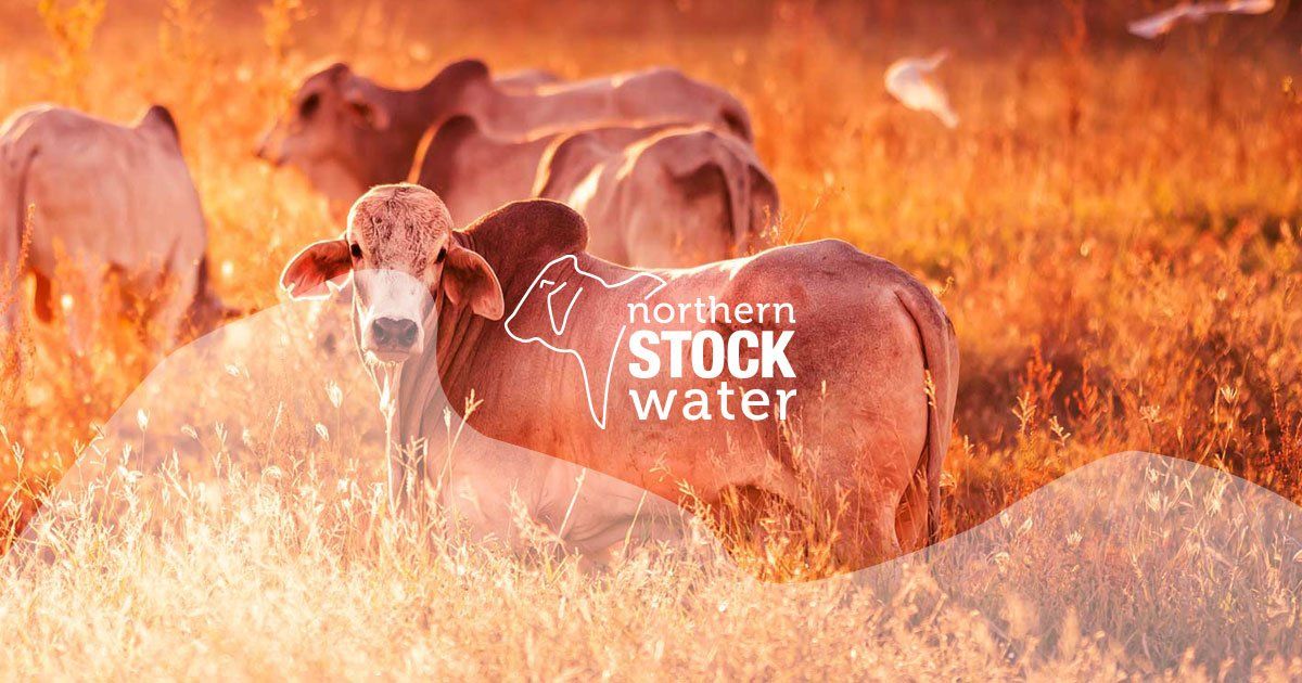 Northern Stock Water: Water Infrastructure & Ag Supplies for Rural Aus