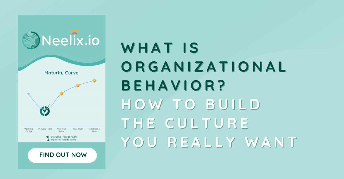 Guide to Discussing Team Performance Curve | Neelix.IO