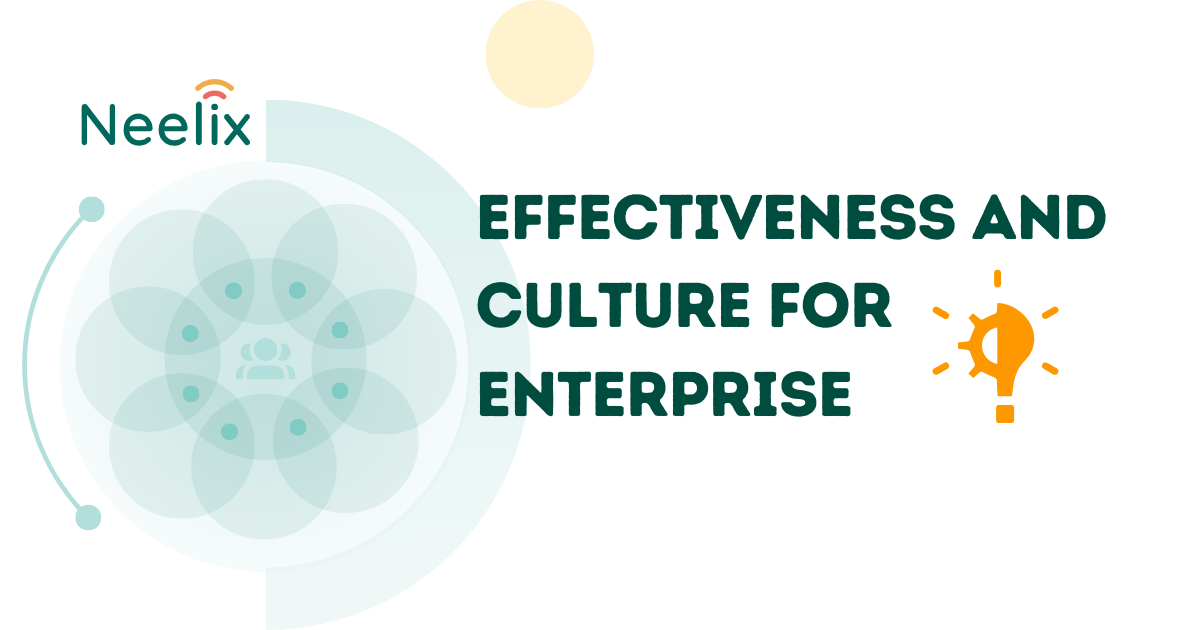 Effectiveness and Culture for Enterprise | Neelix.IO