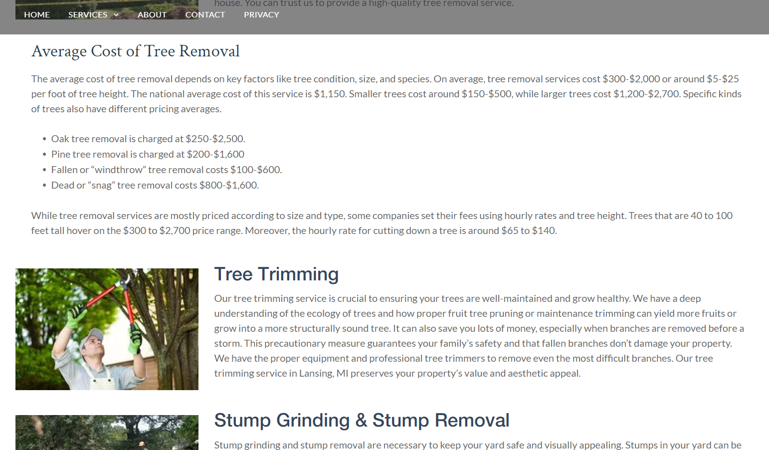 Top 7 Tree Service Website Design Examples + Key Elements of Successful ...