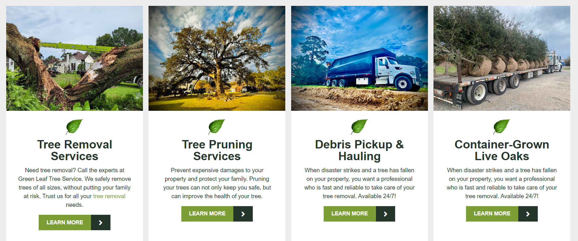 Top 7 Tree Service Website Design Examples + Key Elements of Successful ...