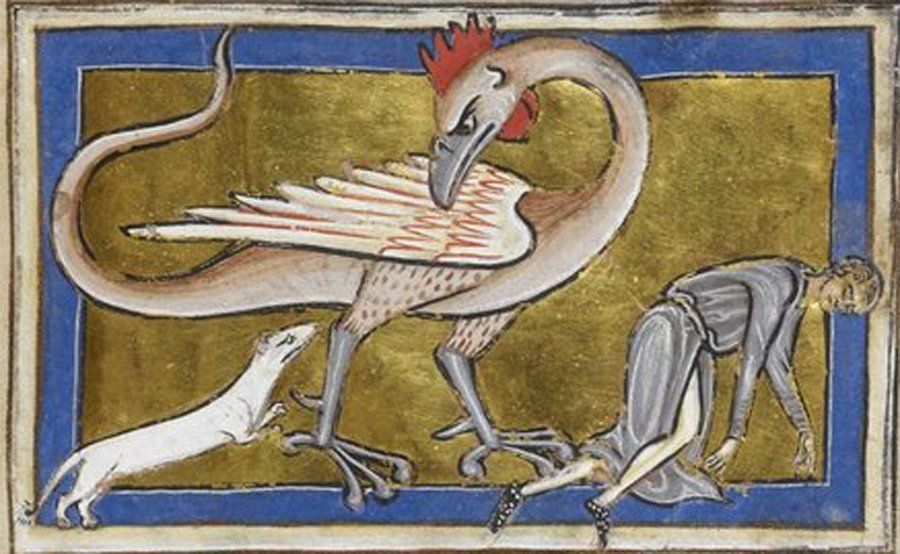 Blogs | Medieval Animals Heritage