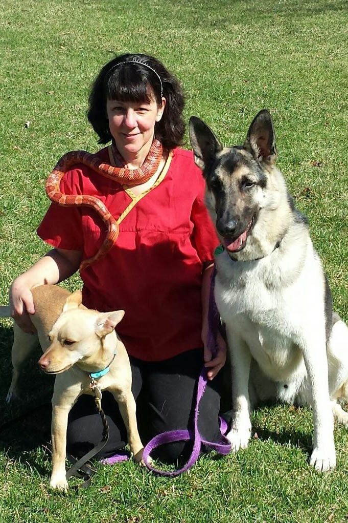 Animal Doctor Allentown, PA | Veterinary Medical Facility