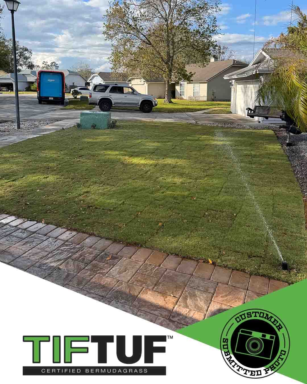 Wholesale Sod Supplier –Serving Northeast, FL – Tater Farms