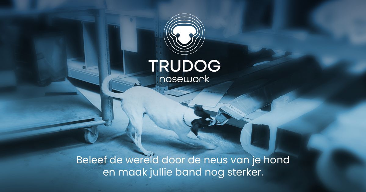 Trudog Nosework - Versterk de band met je hond