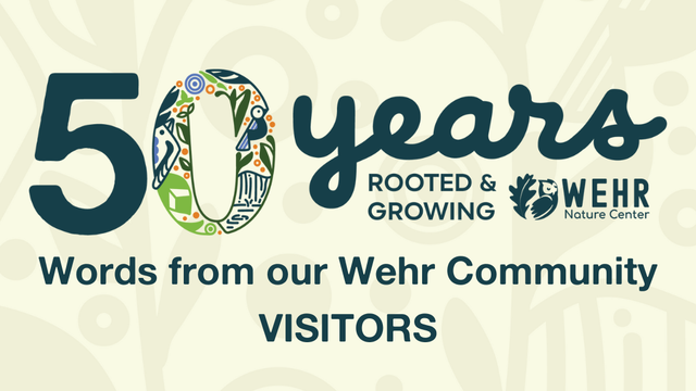 Wehr nature center wedding | Honestweddingadvice.com