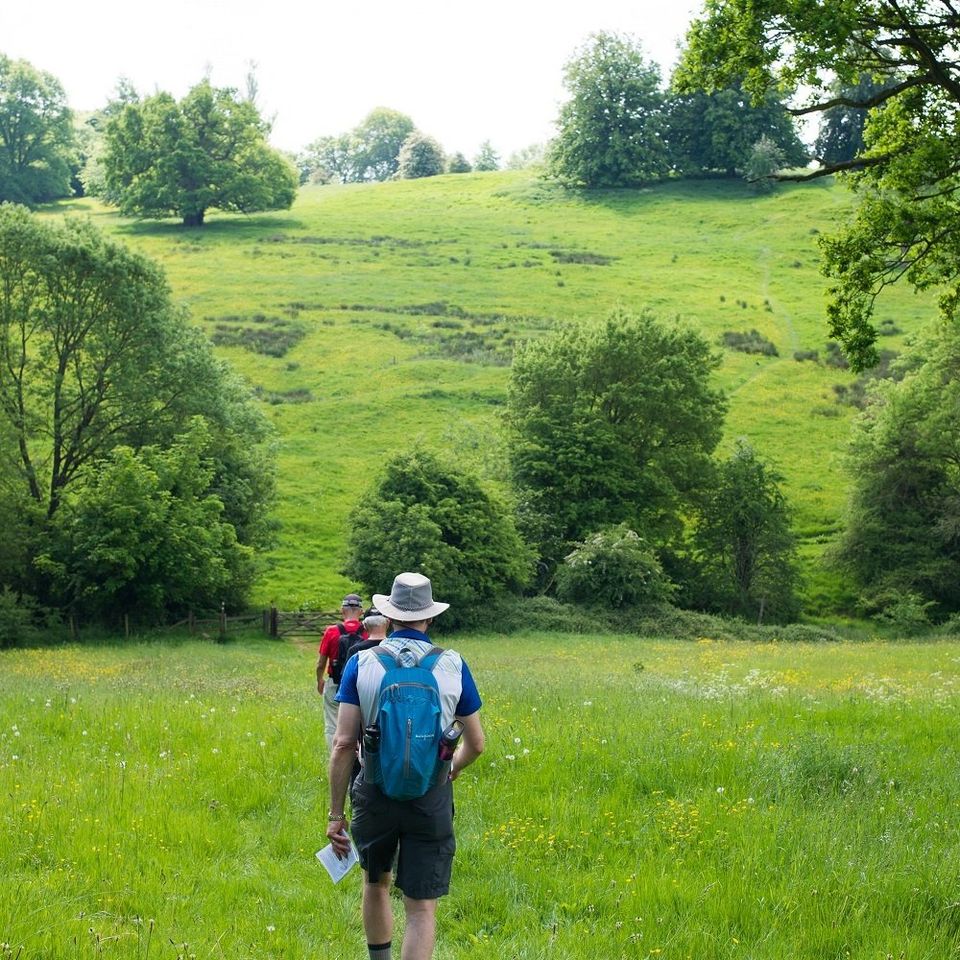 Your Walk, Your Way