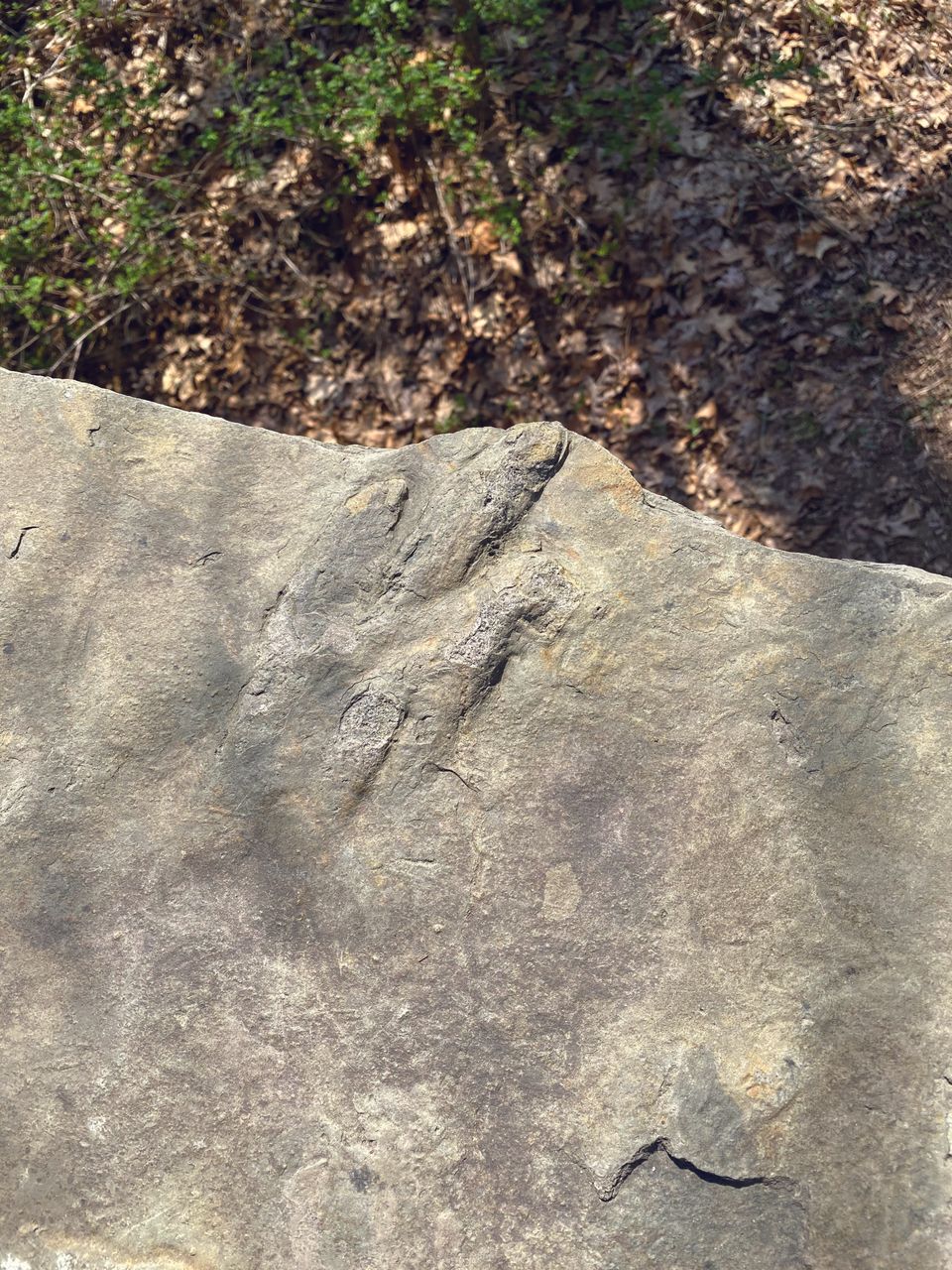 Gettysburg's Dinosaur Bridge