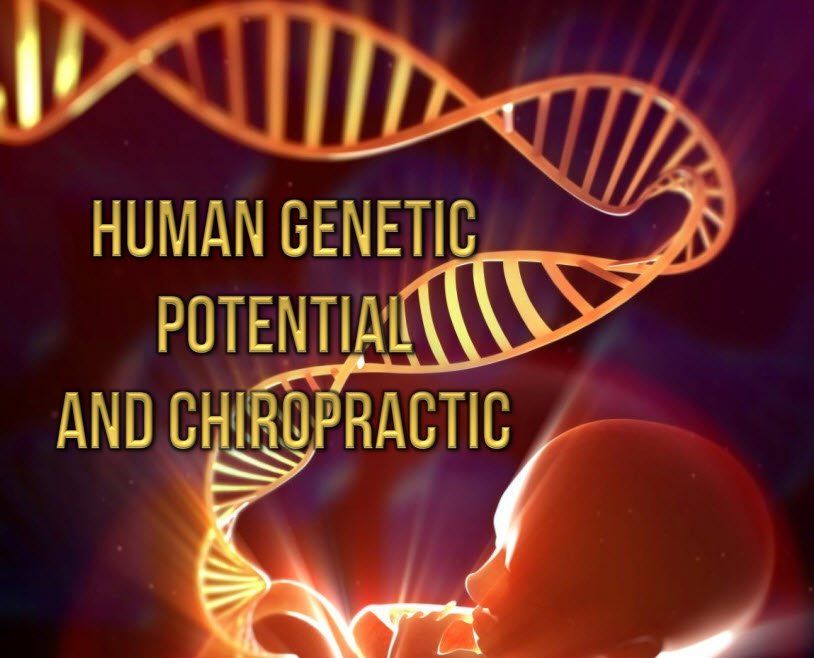 Human Genetic Potential and Chiropractic