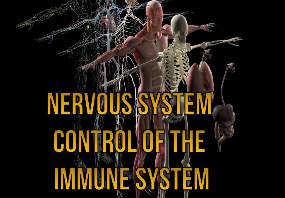 Nervous System Control Of The Immune System