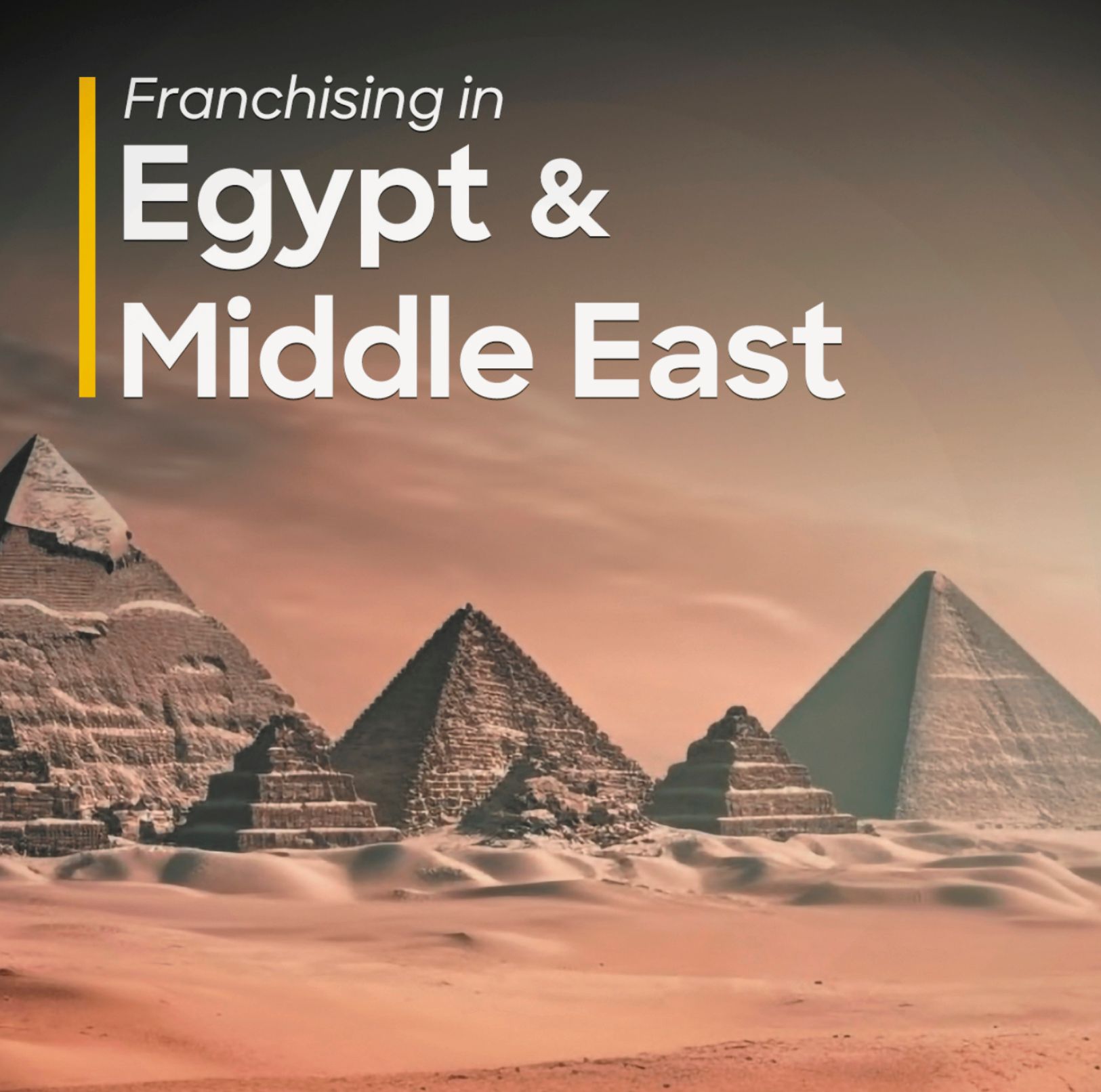 Franchise Journal Magazine | Emerging Brands