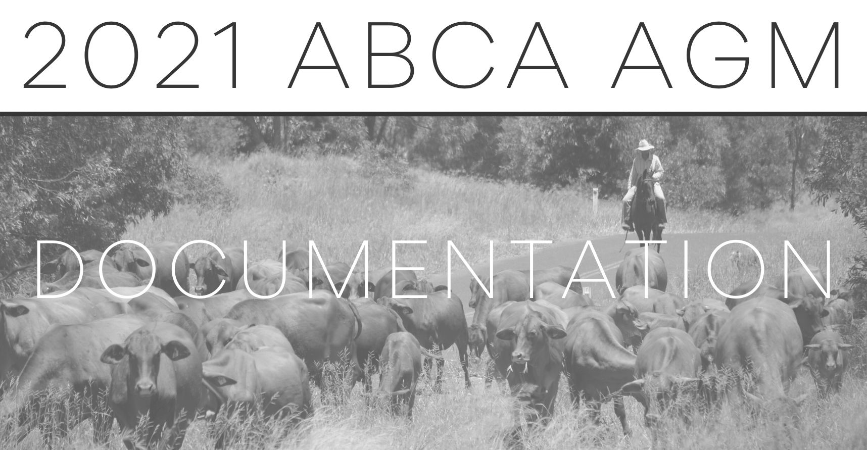 2021 AGM Documentation