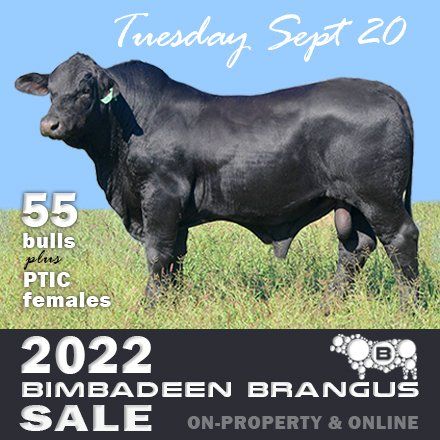 Australian Brangus Cattle Association