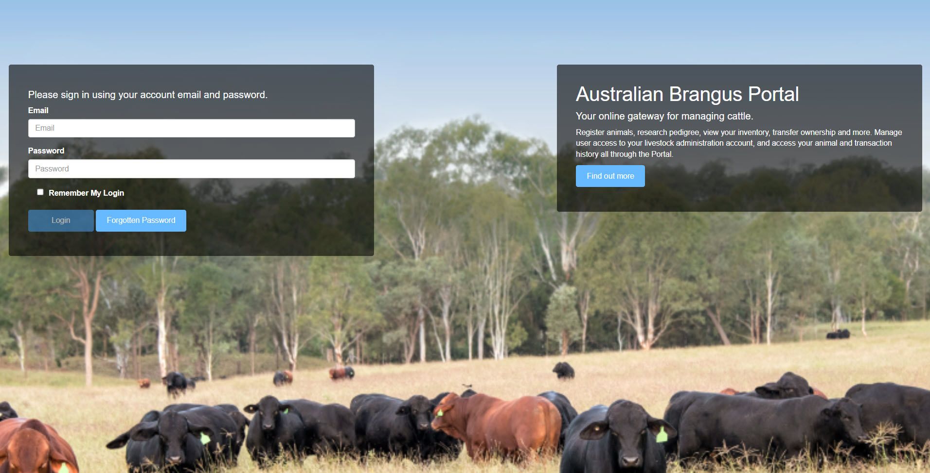 Member Login Area Transition Step 1