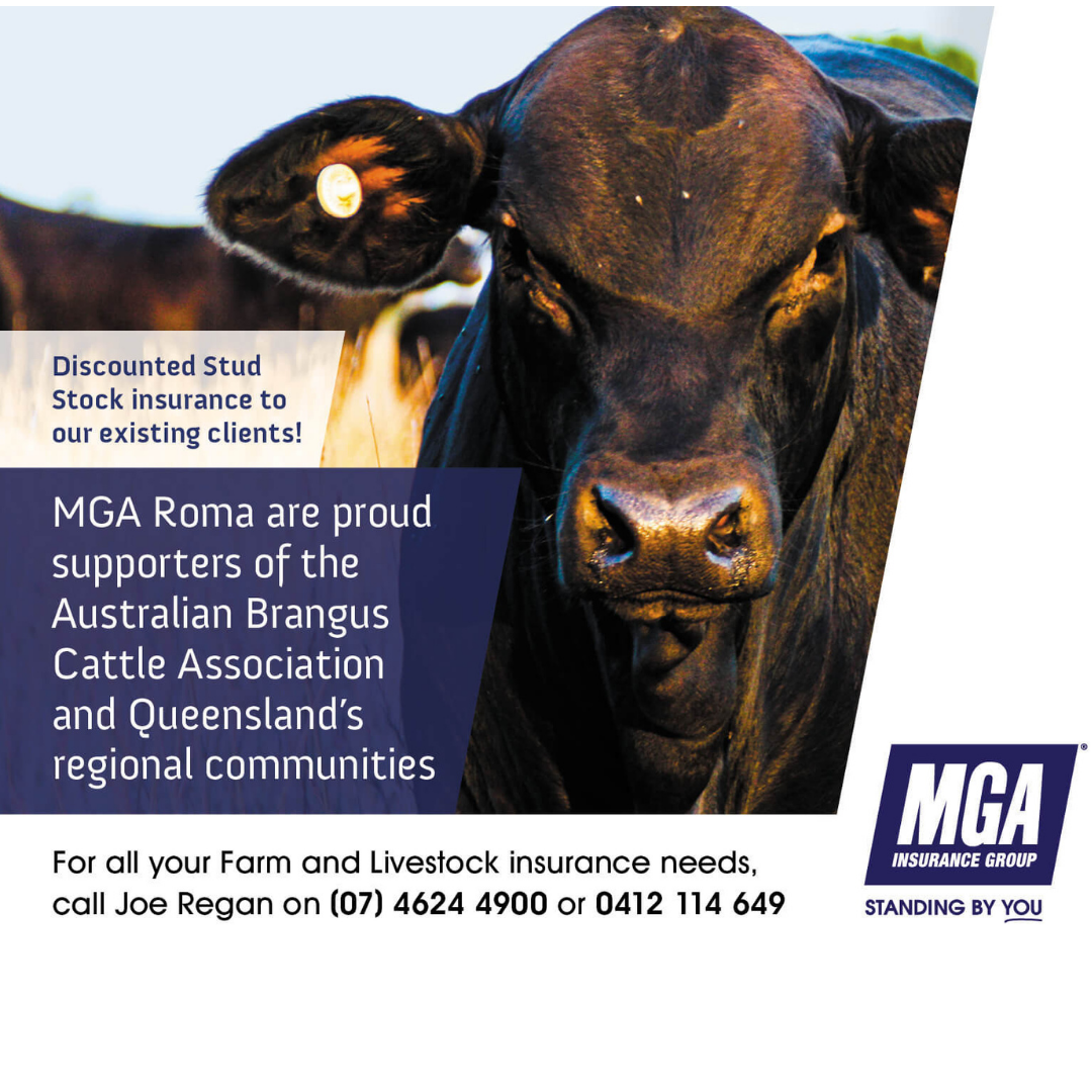 Australian Brangus Cattle Association