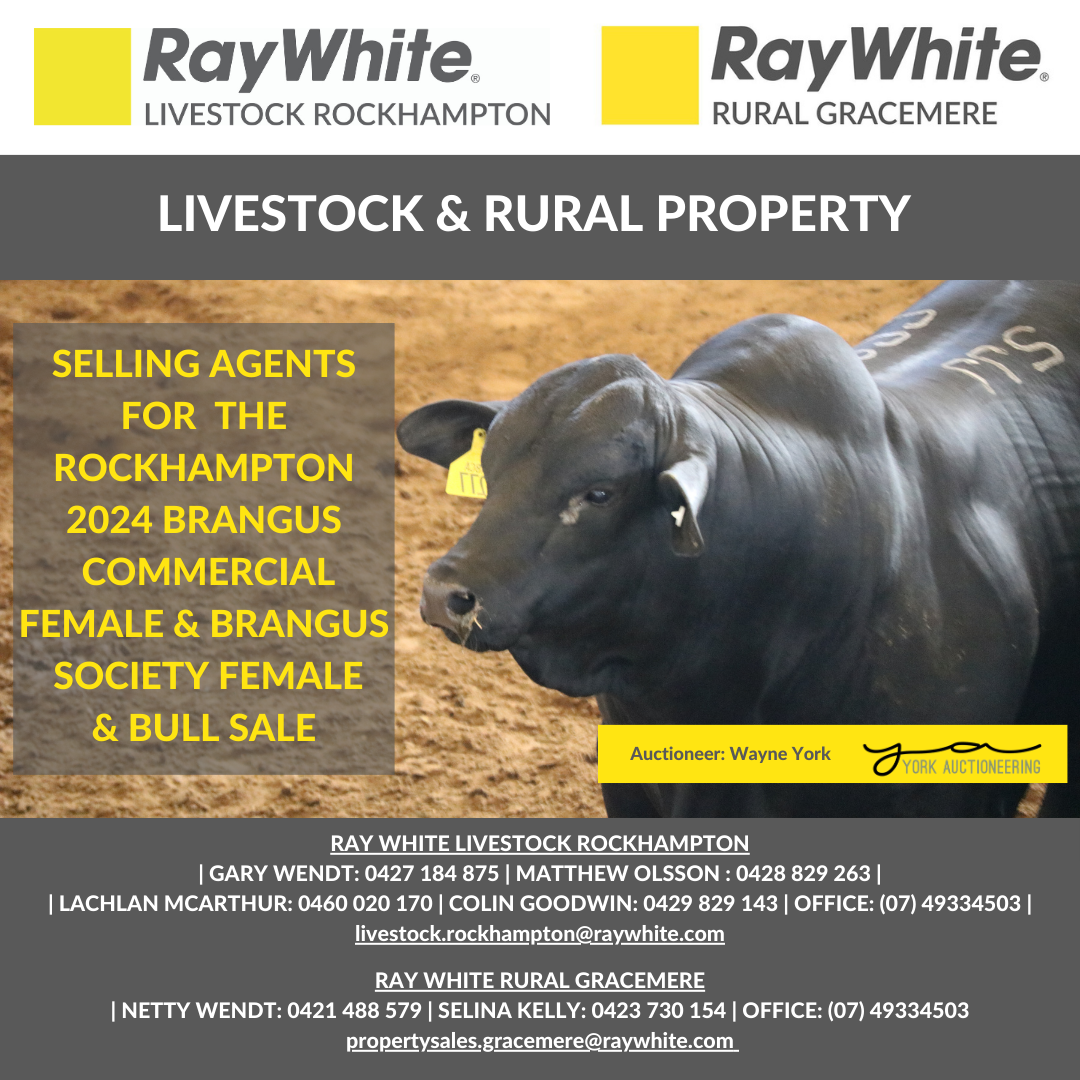 Brangus Australia