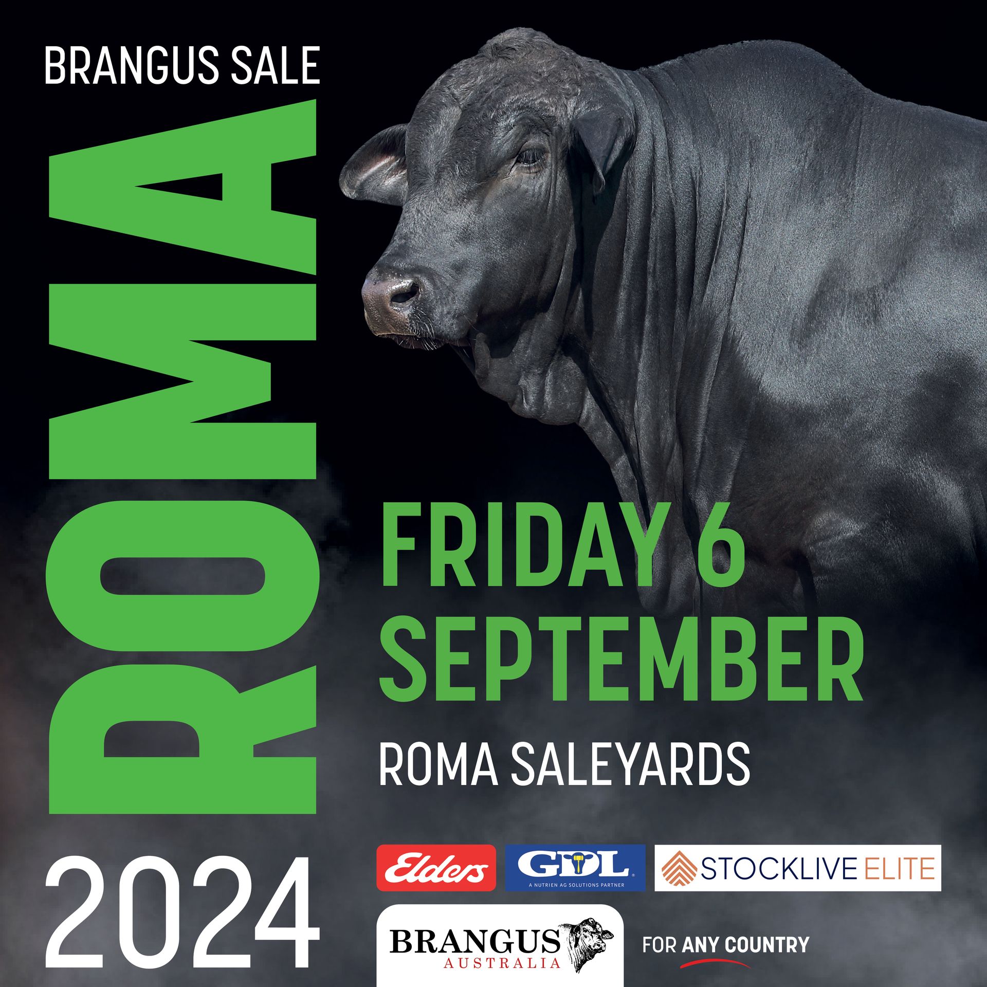 Brangus Australia